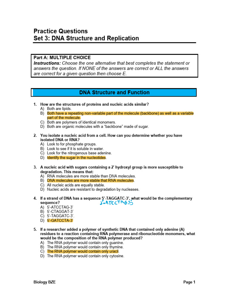 DNA Structure and Replication Practice Questions | PDF | Dna ...