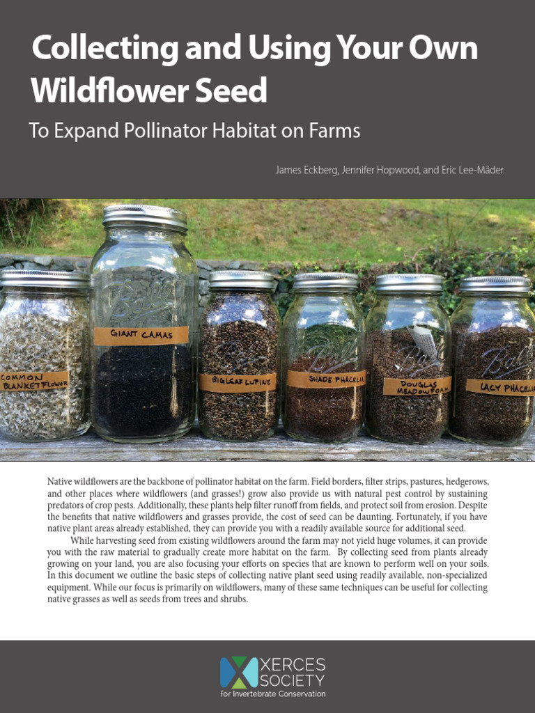 Collecting Wildflower Seeds Xerces Society | PDF | Seed | Mower