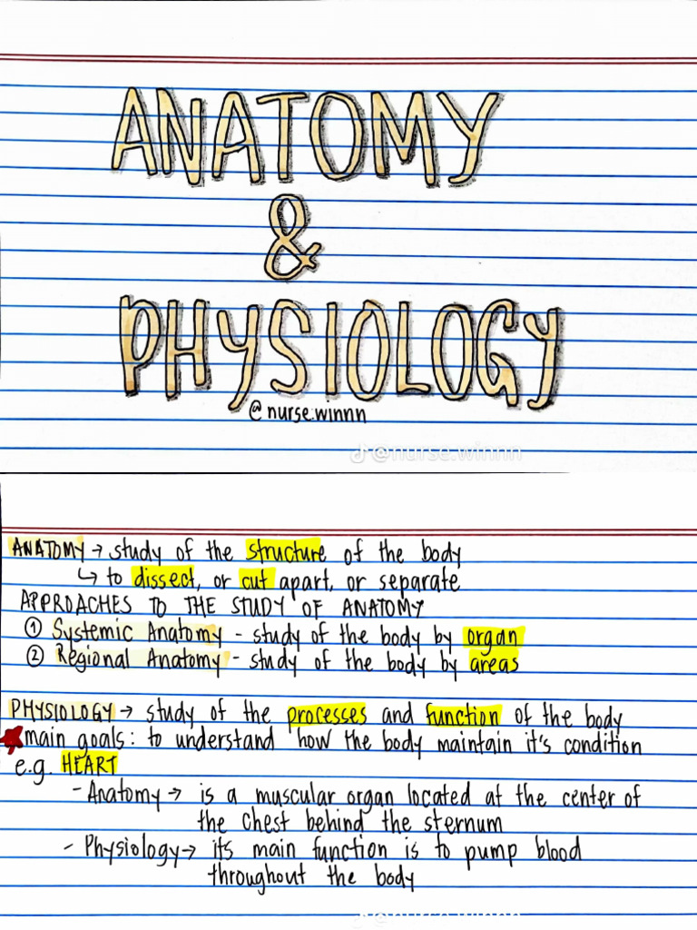 ANAPHY | PDF | Anatomy | Morphology (Biology)