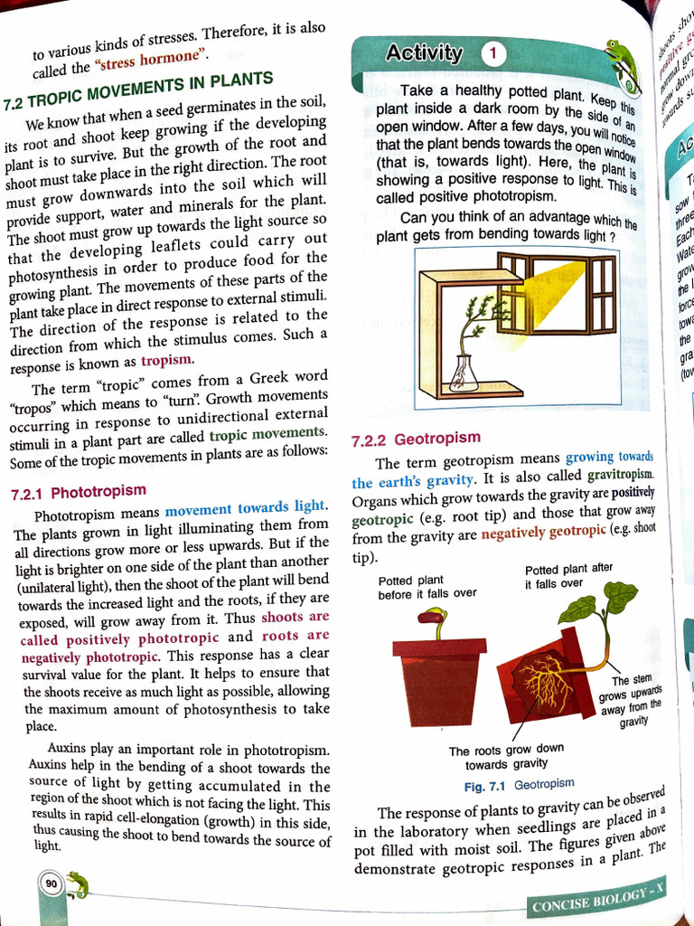 Plant Movement and Exercise | PDF
