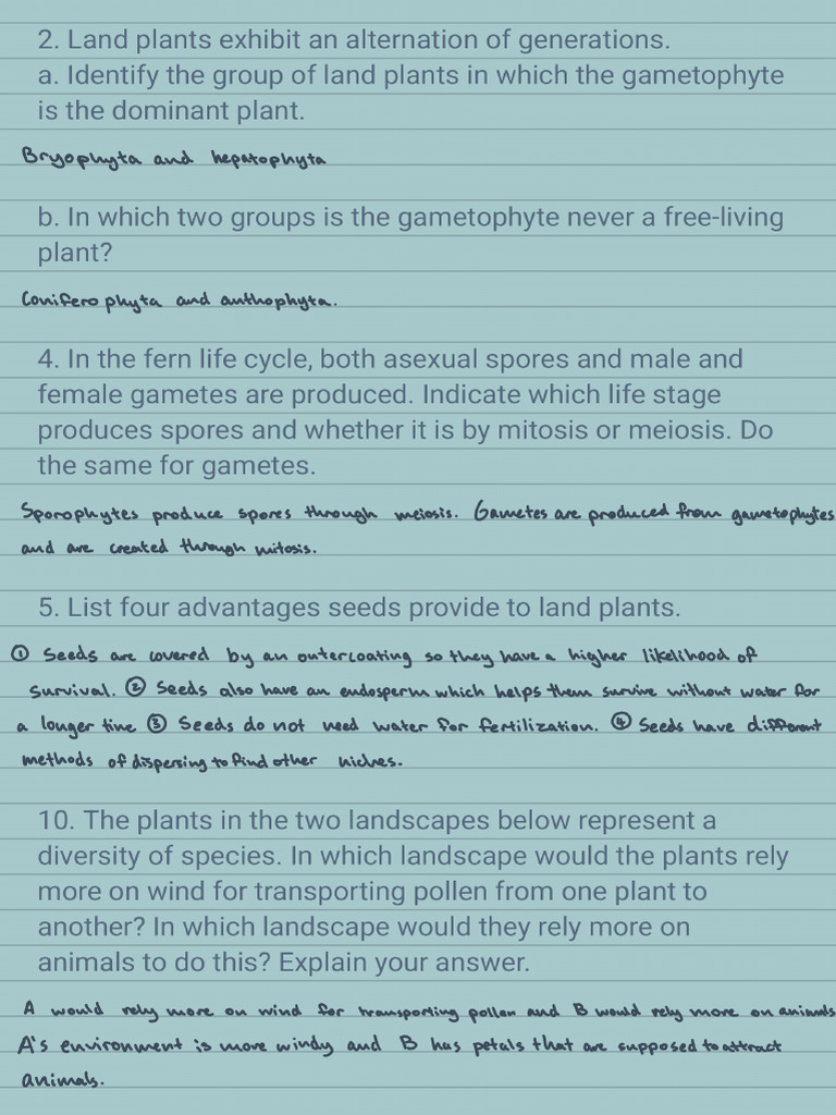 Kingdom Plantae Test Review Questions | PDF