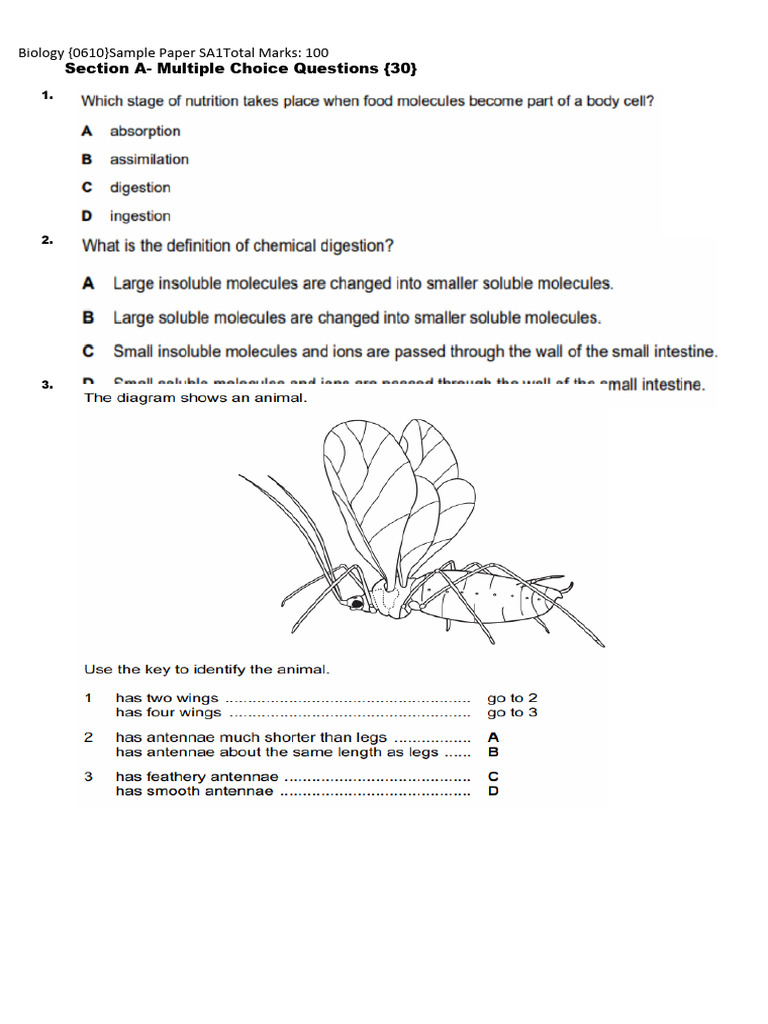 Biology Sample Paper SA1 Overview | PDF | Plant Stem | Leaf