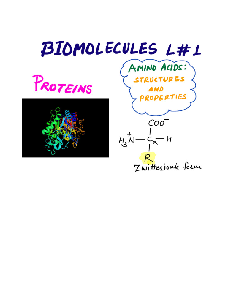 Proteins hand written notes class 12 NEET | PDF | Proteins | Amino Acid