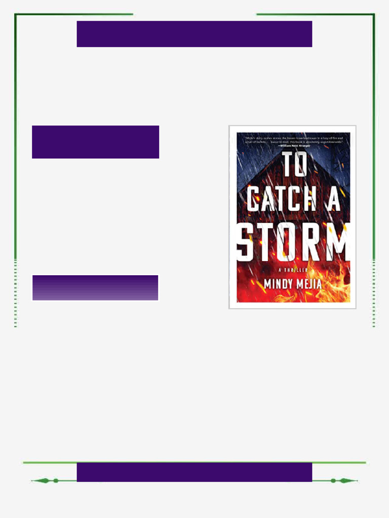 To Catch a Storm 1st Edition Mejia Mindy digital eBook download | PDF