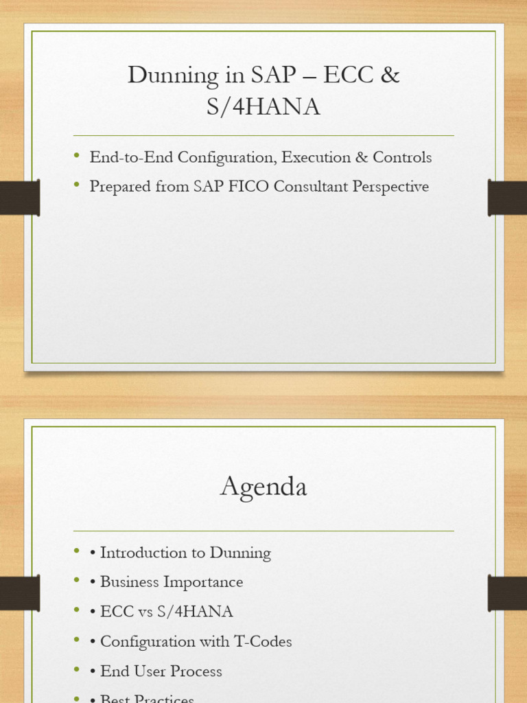 Dunning in SAP Ecc & S/4Hana | PDF