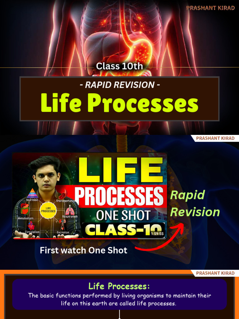 Overview of Life Processes in Organisms | PDF | Urinary System ...