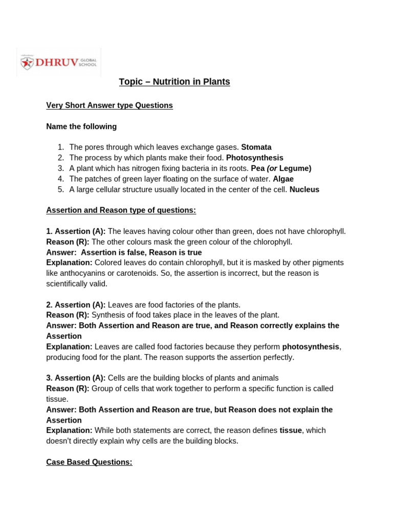 Grade 7 - Biology - AK - Nutrition in Plants | PDF | Plants ...
