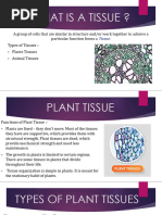 Types of Tissues in Biology | PDF | Epithelium | Tissue (Biology)