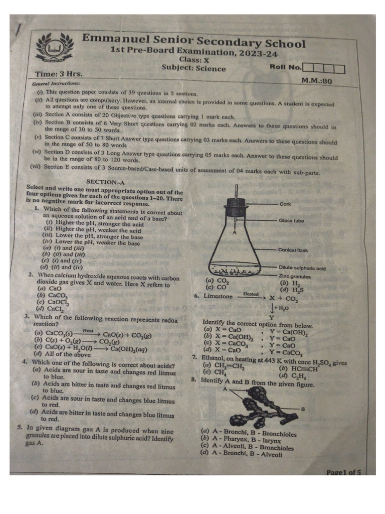 Pre Boards | PDF