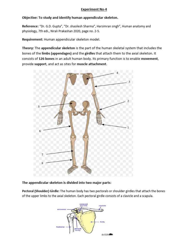 Experiment No 4 Hap | PDF