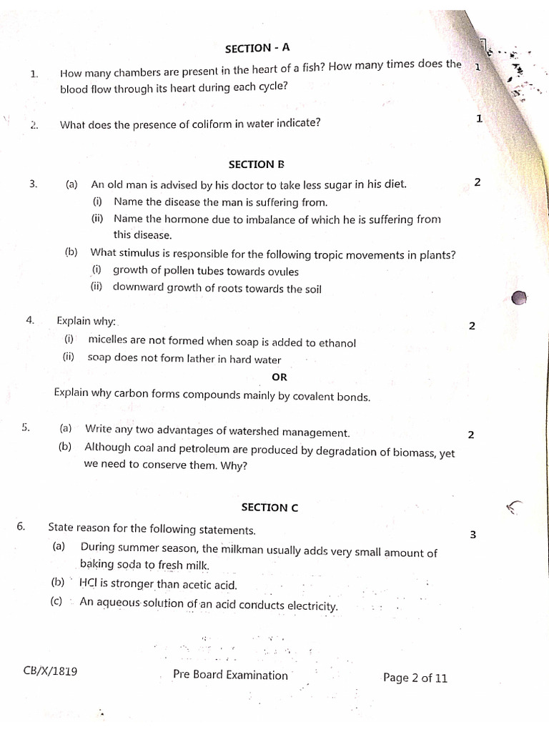 Practice Paper | PDF