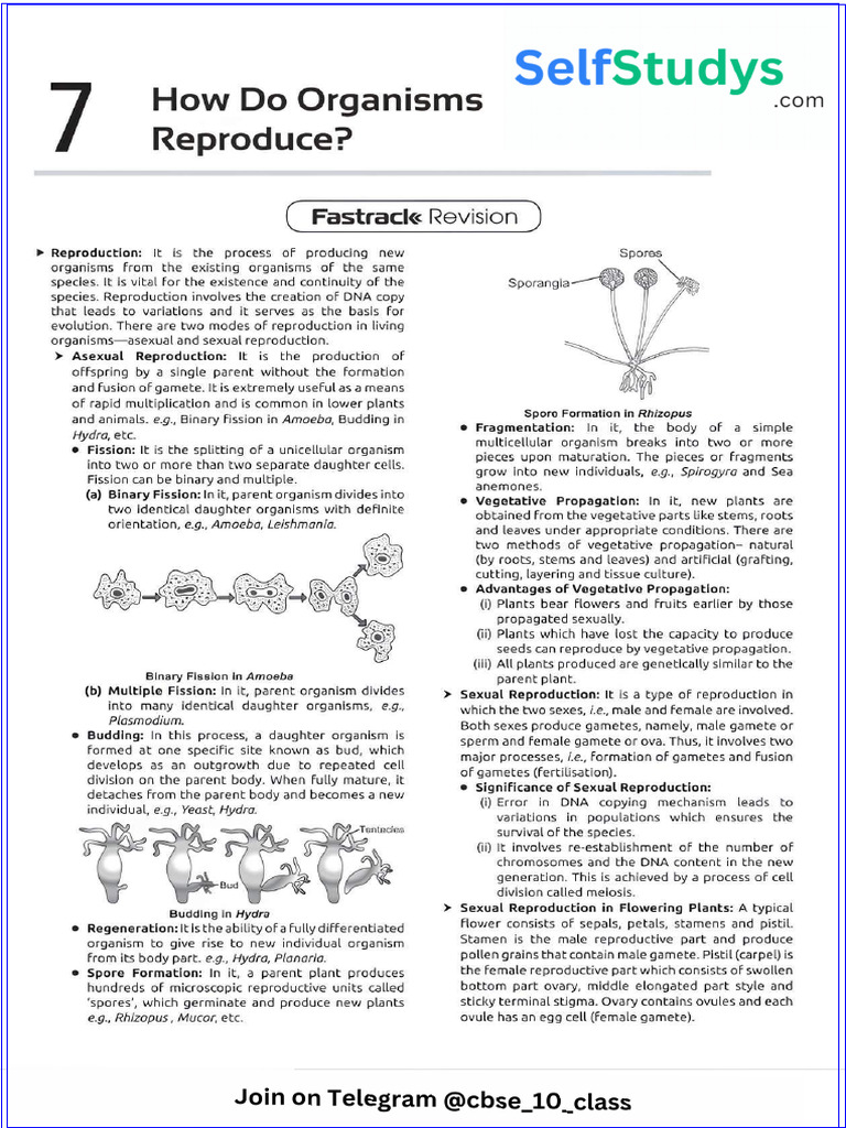 How Do Organisms Reproduce | PDF