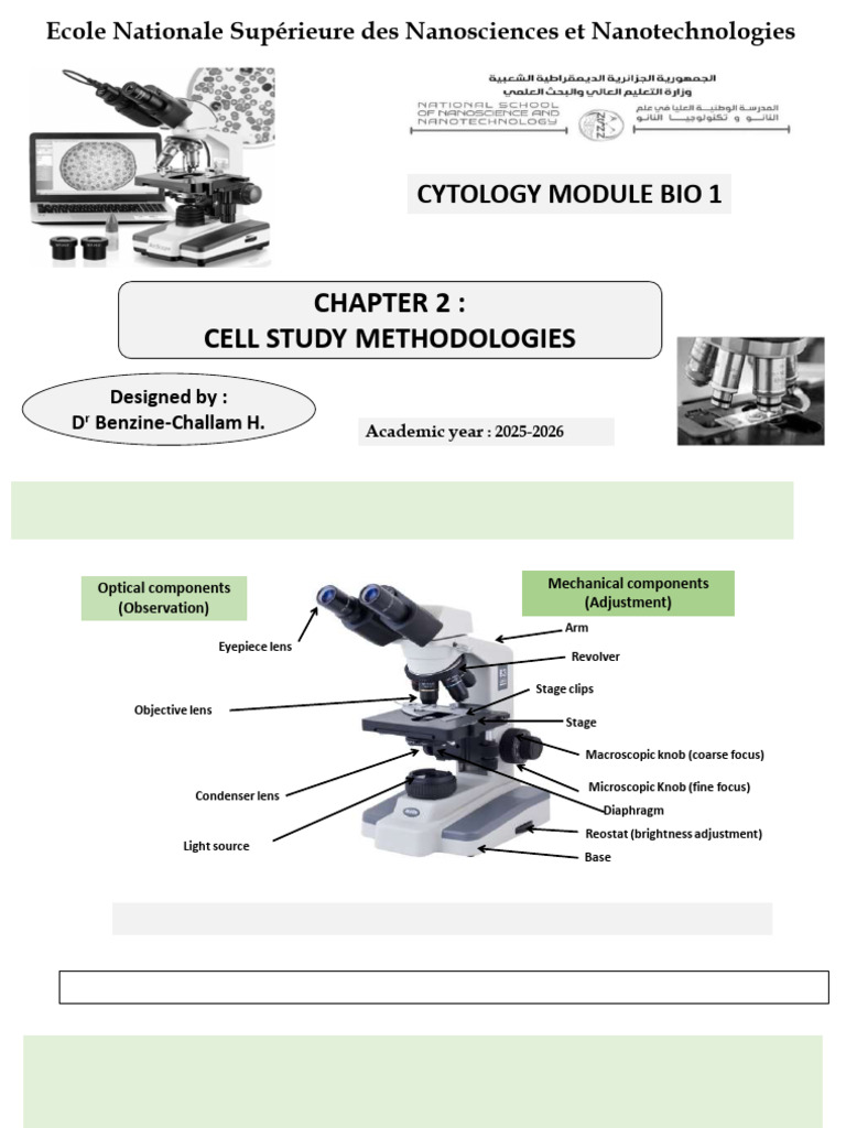 Light Microscopy Techniques and Cell Observations | PDF | Stoma | Anatomy