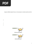 ACNS 2021 EEG Terminology Guide | PDF | Electroencephalography | Human ...