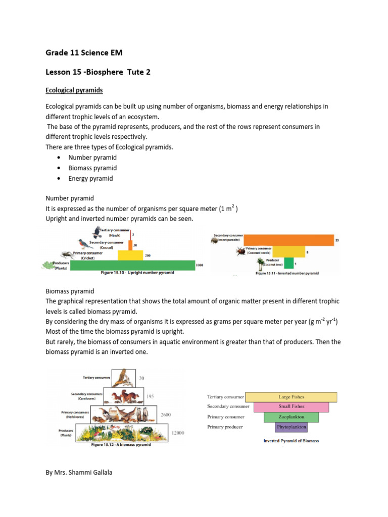 Grade 11 EM Biosphere Tute 2 | PDF