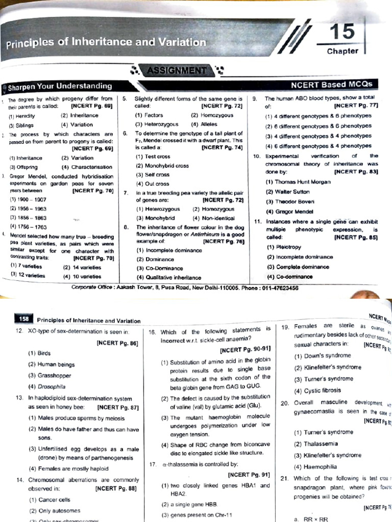 Principal of Inheritance Test | PDF | Genotype | Dominance (Genetics)