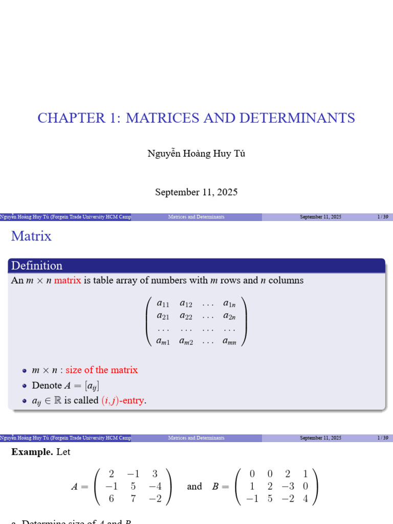 [Slides] Chapter 1. Matrix - New | PDF | Matrix (Mathematics) | Determinant
