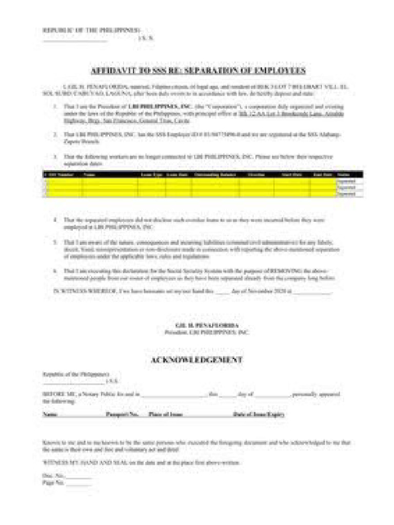 Separation Reporting Sample | PDF