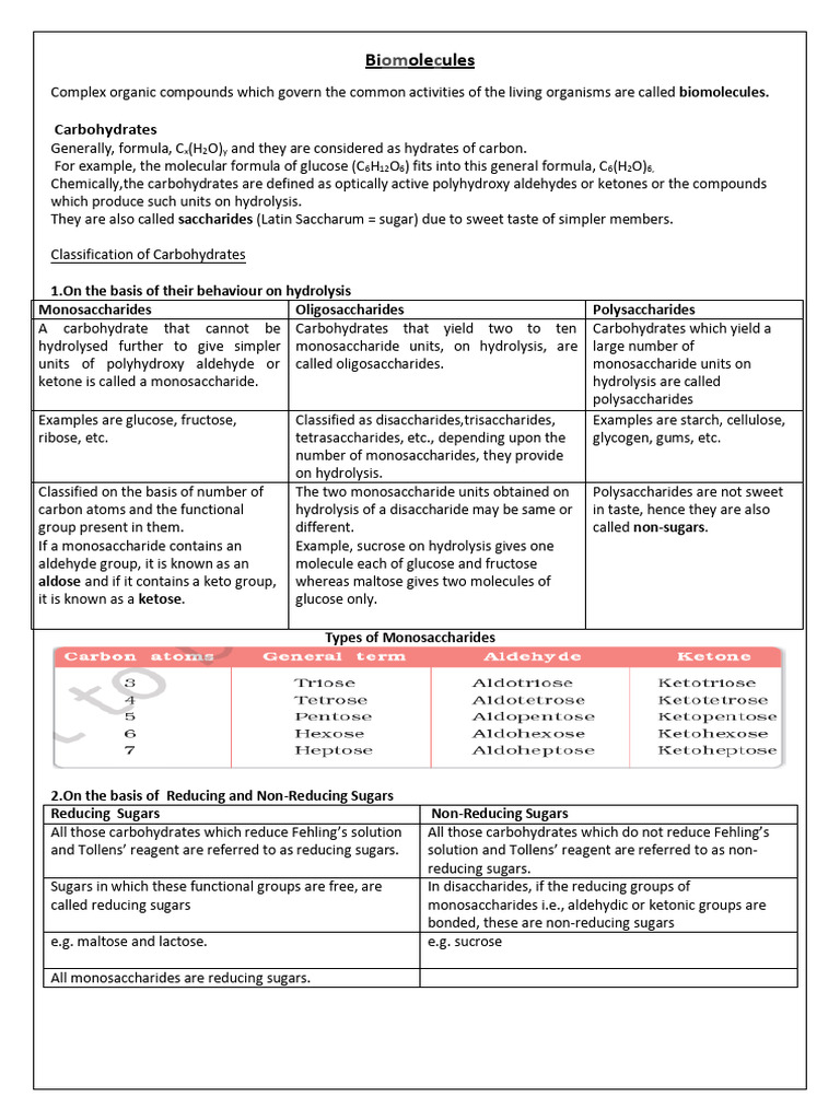 Biomolecule class notes chemistry notes class 12 | PDF | Carbohydrates ...