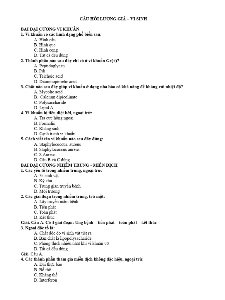 Chlg - Vs.docx | PDF