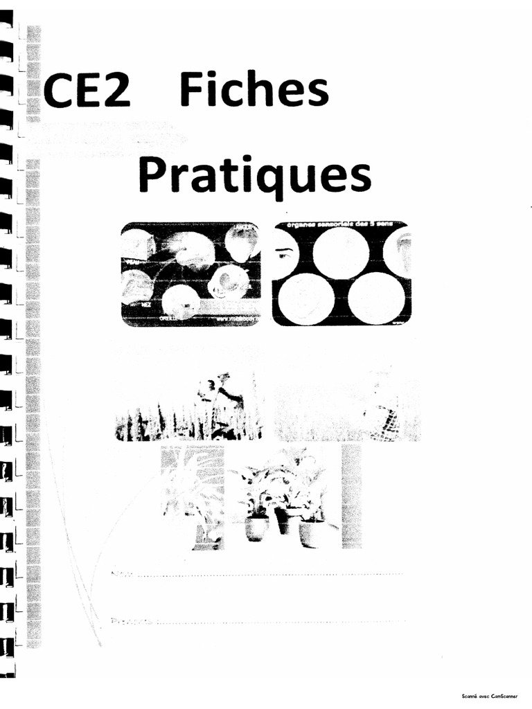 sciences-ce2-pdf