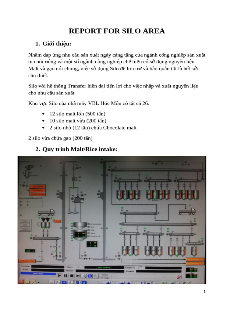 Report For Silo Area | PDF