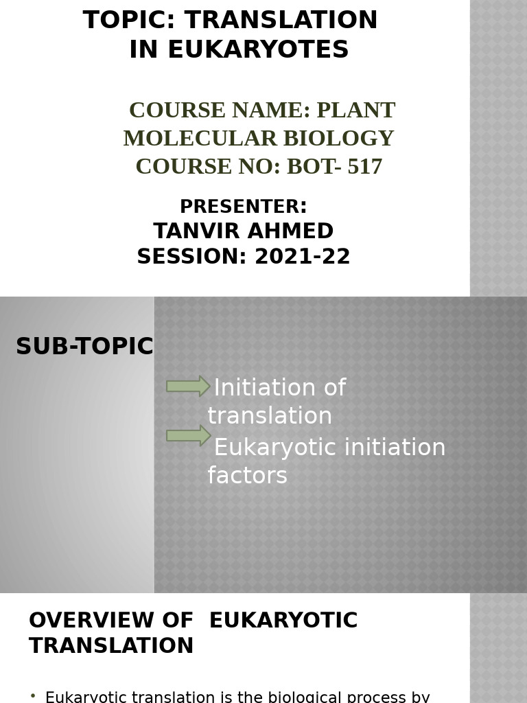 517 Presentation | PDF | Translation (Biology) | Ribosome