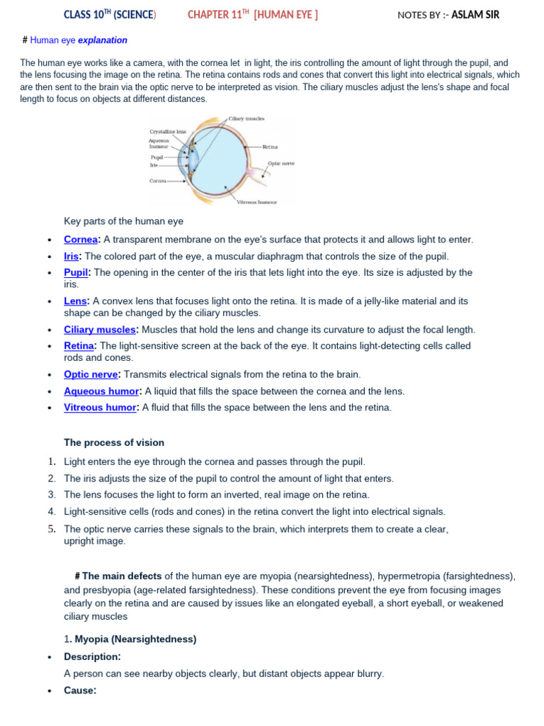 Human Eye and Light Phenomena Notes | PDF | Eye | Human Eye