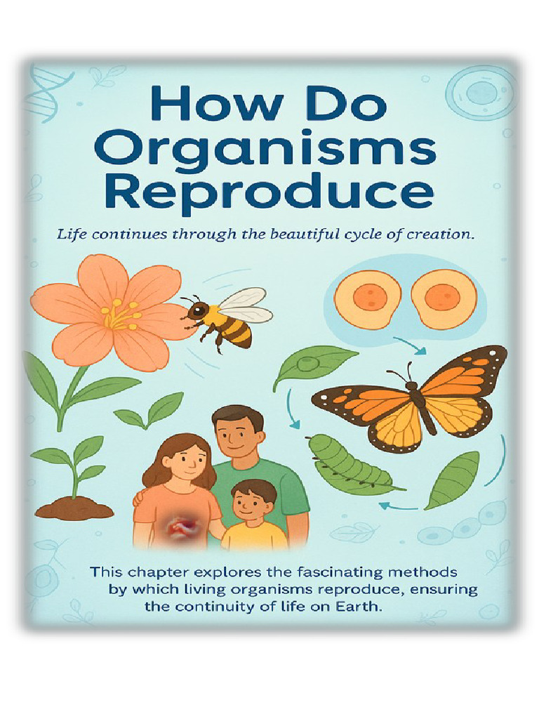 Types of Reproduction Explained | PDF | Menstrual Cycle | Flowers