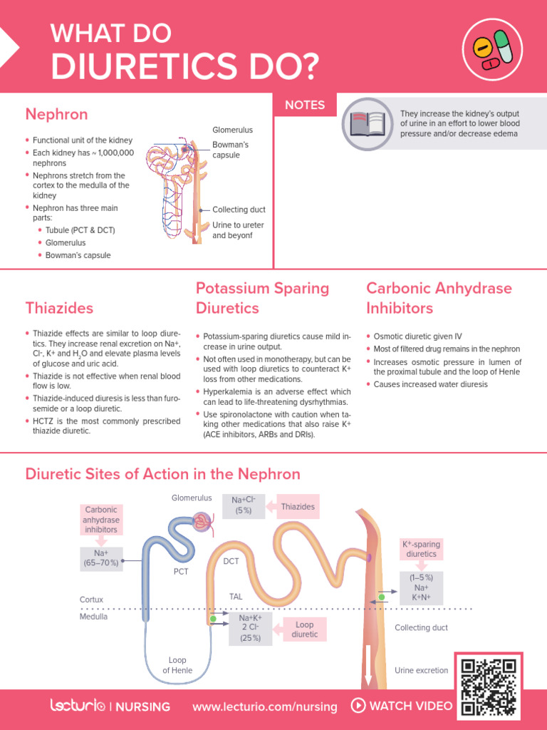 Understanding Diuretics and Their Functions | PDF | Kidney | Organ ...