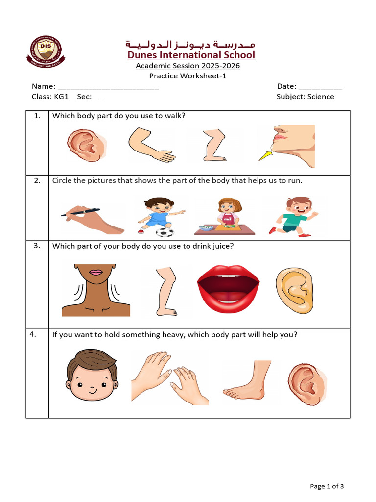 KG1 Science Practice Worksheet 1 | PDF