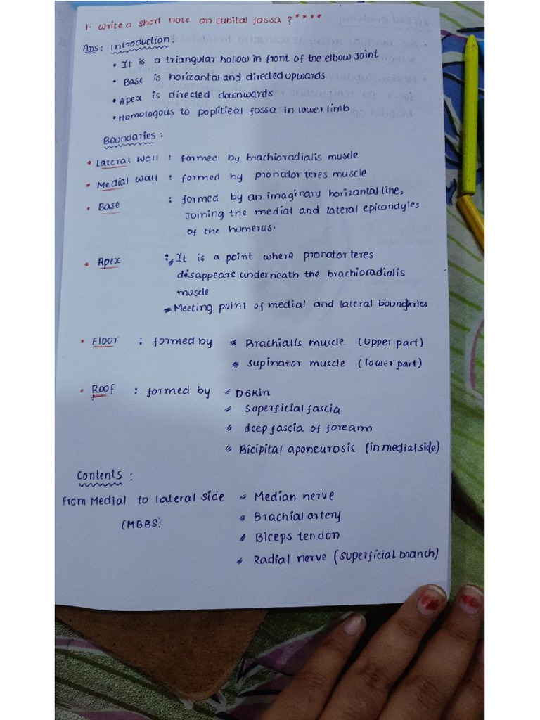 Short Notes Questions and Answer For Upper Limb | PDF