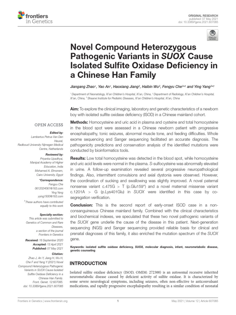 Novel Compound Heterozygous Pathogenic Variants in SUOX Cause Isolated ...