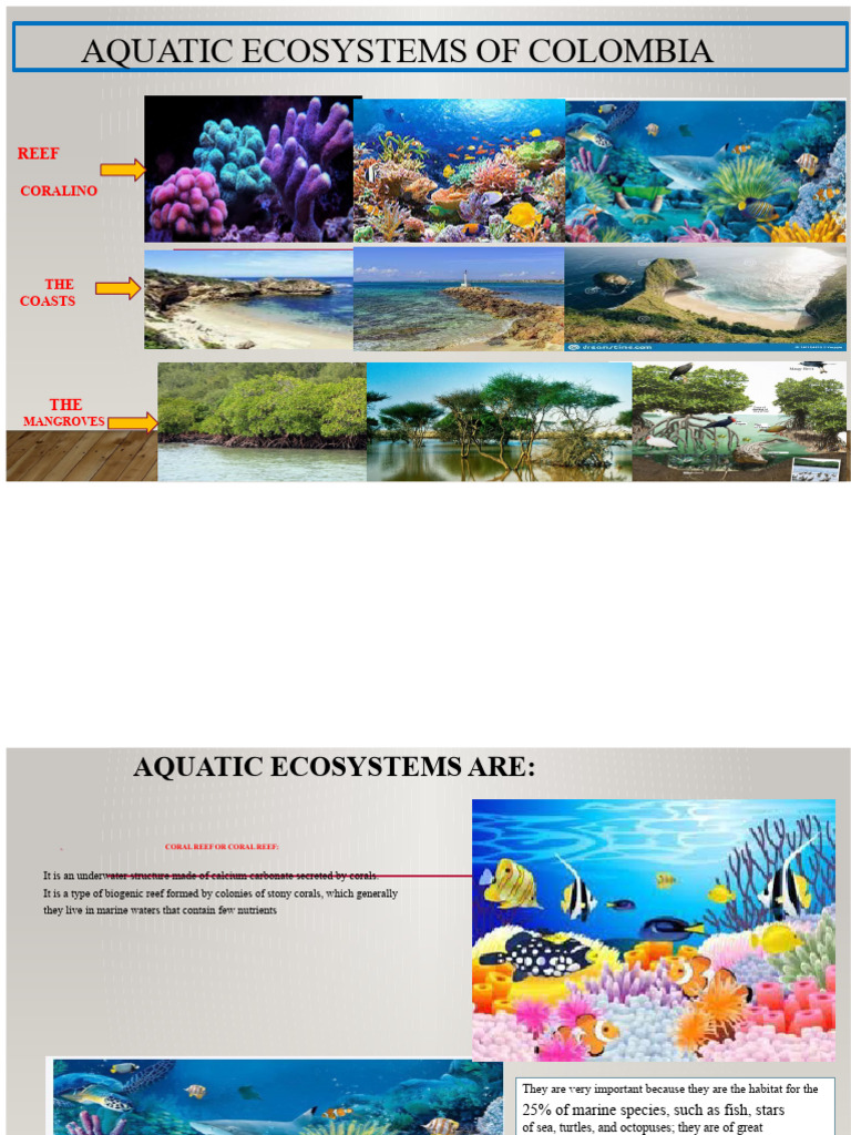 Aquatic ecosystems of Colombia | PDF | Mangrove | Coral Reef