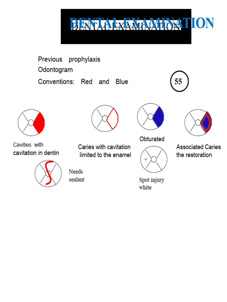 odontogram (1) | PDF