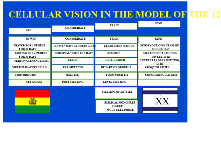 CELLULAR VISION IN THE 12 MODEL | PDF