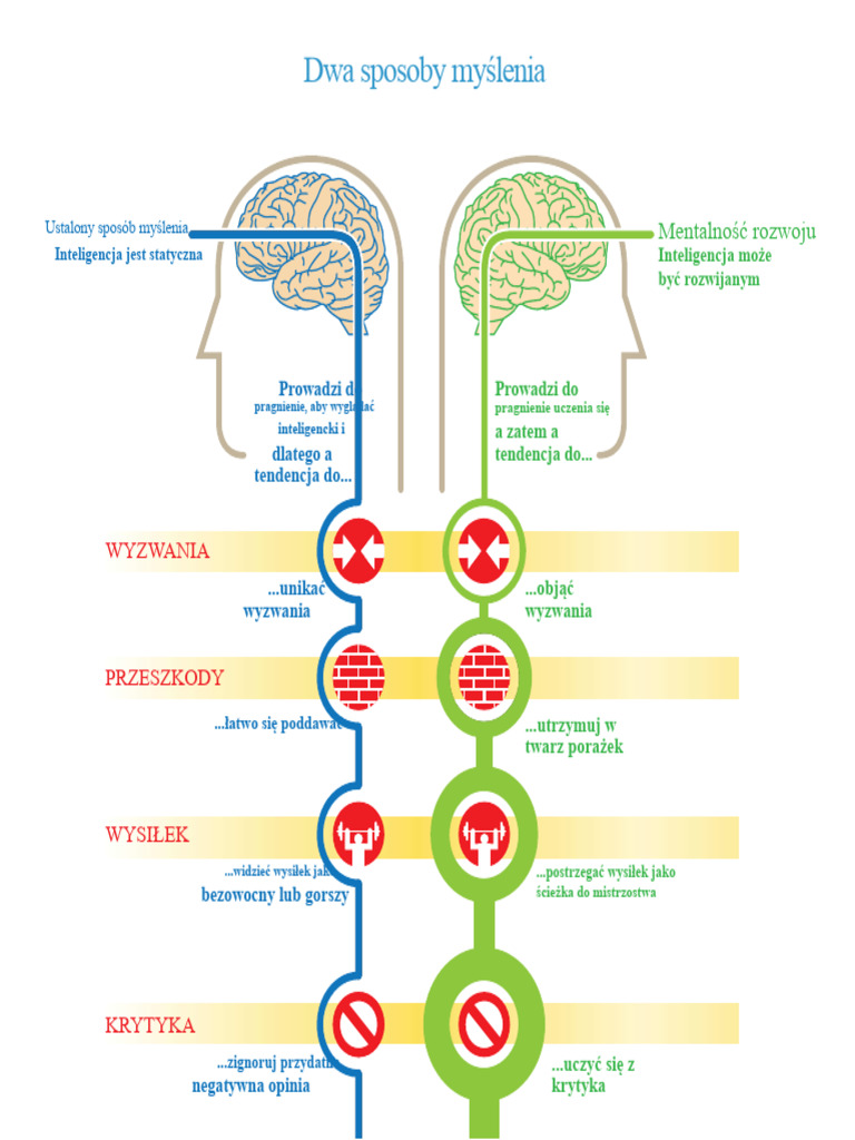 Mindset Infographic.pdf | PDF