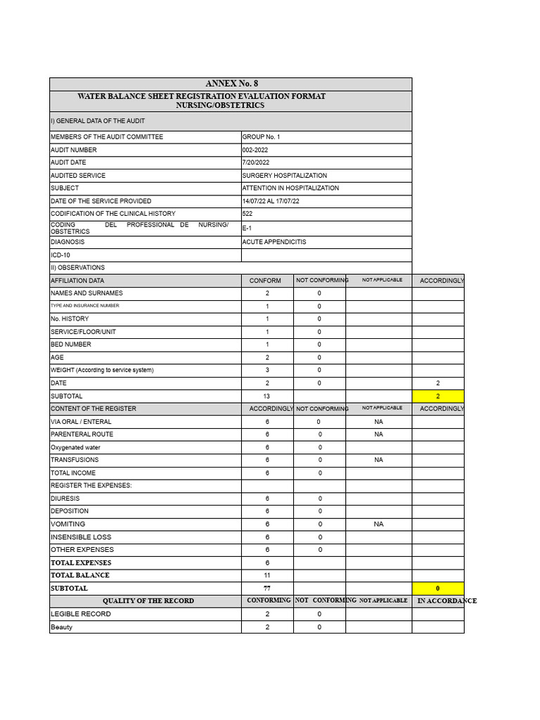 Water Balance Sheet Audit Format | PDF | Audit | Social Programs