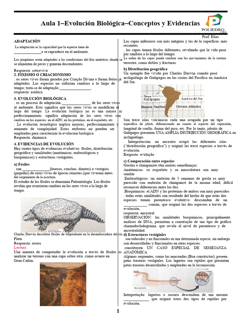 Clase 01 - Evolución Biológica - Conceptos y Evidencias | PDF ...