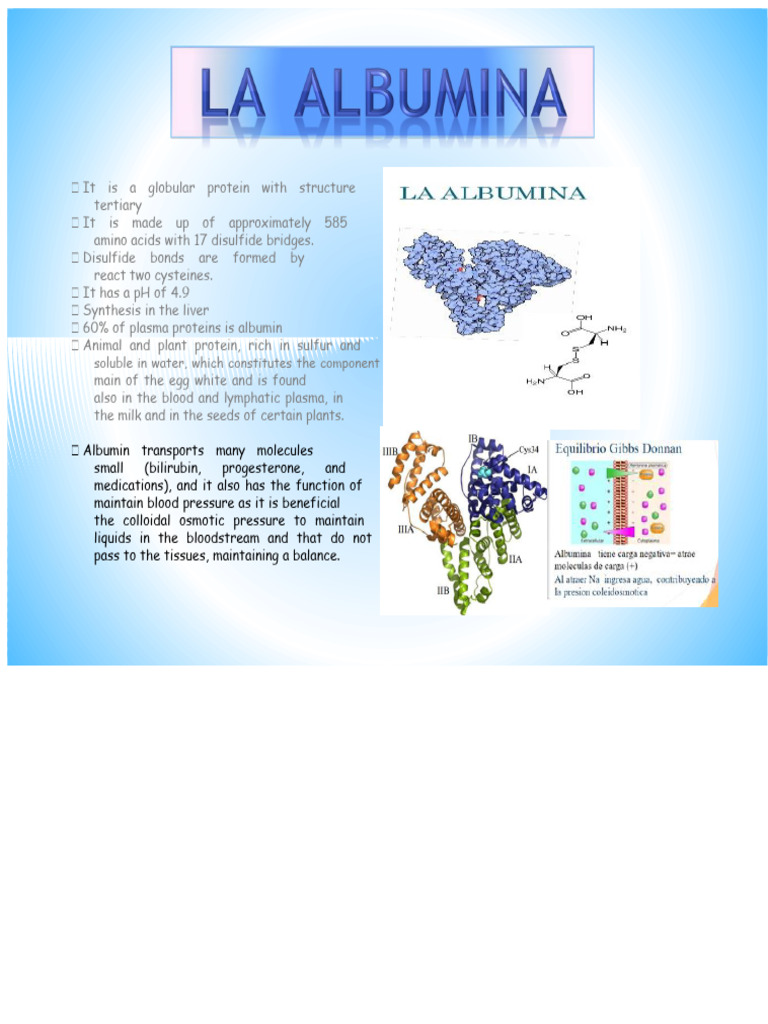 Albumin | PDF | Proteins | Blood Plasma