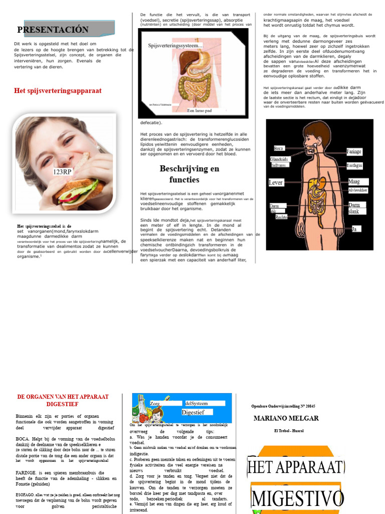 Diafraag Apparaat Digestief | PDF