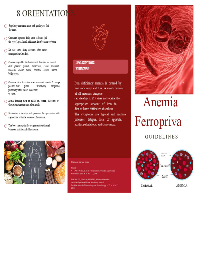 Guidance - Iron Deficiency Anemia | PDF | Anemia | Vegetables