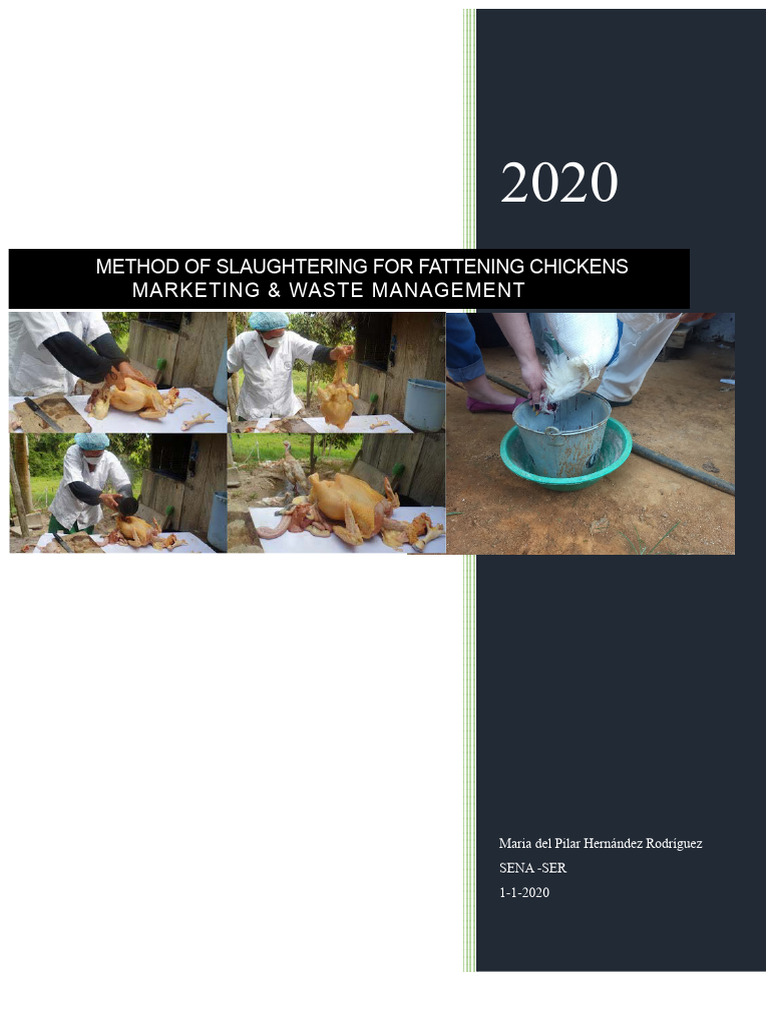 Broiler Chicken Slaughter Process Guide | PDF | Waste | Environmental ...