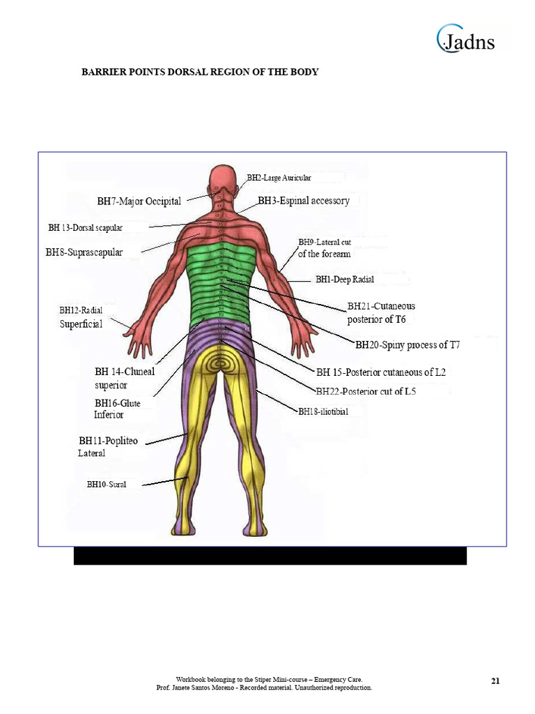STIPERTHERAPY - Prof Janete 2 | PDF