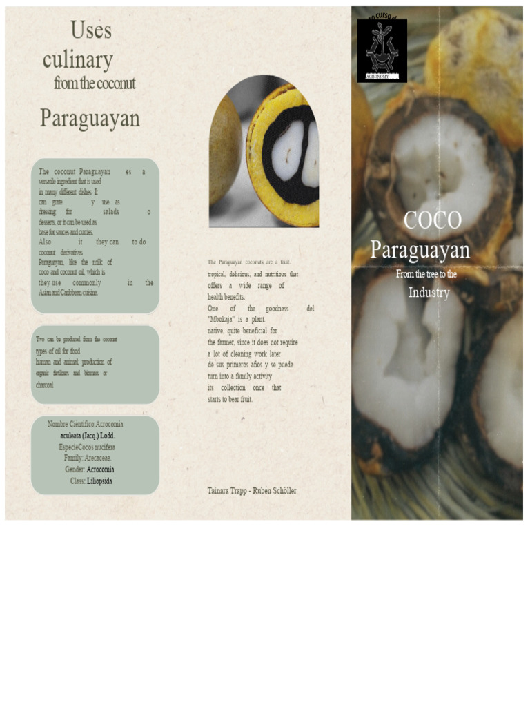 Triptych COCO PARAGUAYO | PDF | Coconut | Paraguay