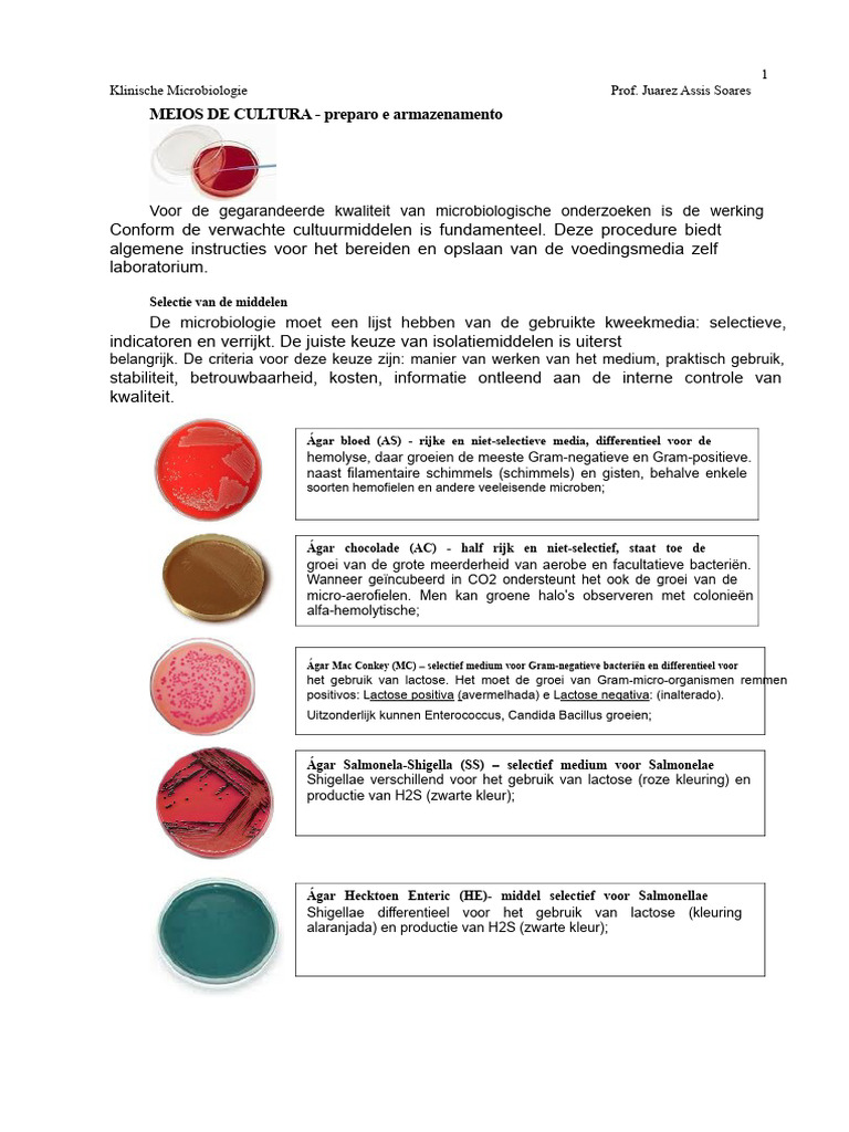MicroClin 004 | PDF