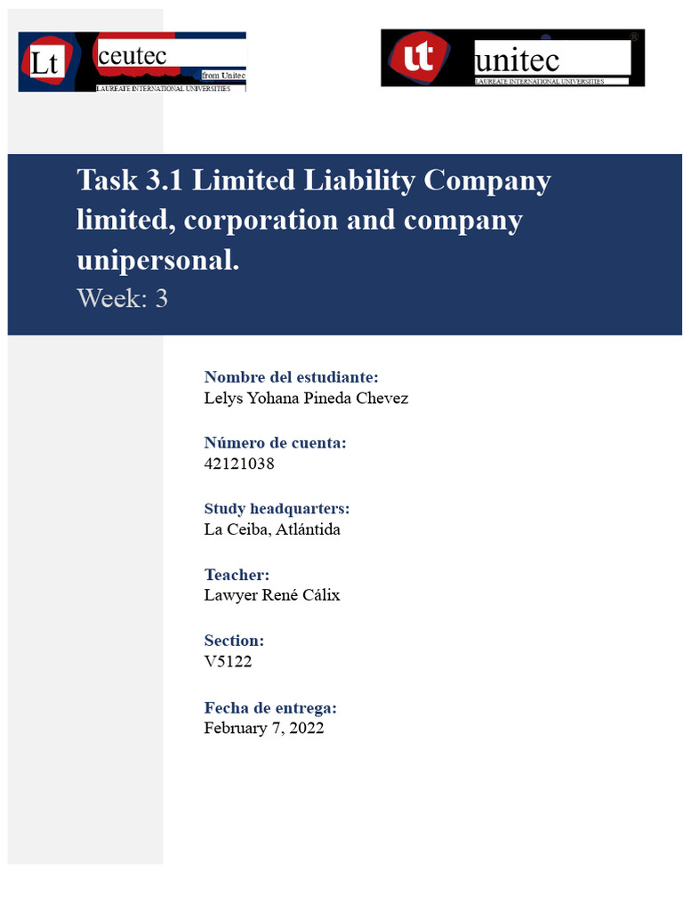 task 3.1 | PDF | Limited Liability Company | Joint Stock Company