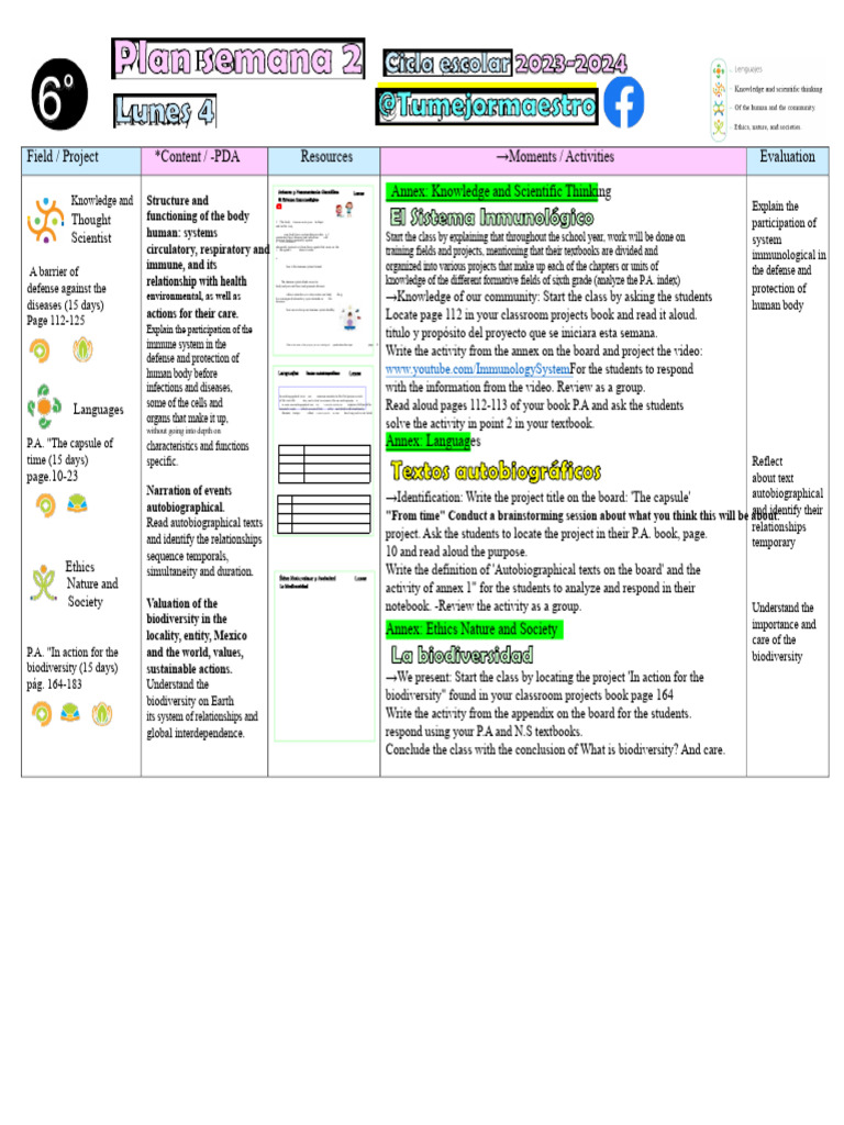 6th Plan 2 tumejormaestro 23-24 | PDF | Immune System | Biodiversity
