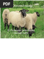 Minecraft Sheep Fricker Machine Guide | PDF | Ovis | Sheep