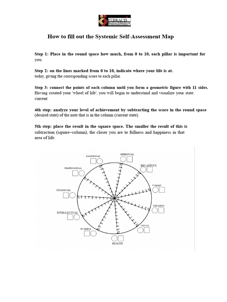 Systemic Self-Assessment Map Guide | PDF